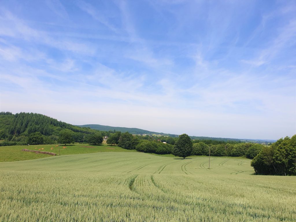 Les Combes. - Camping L'Air du Lac